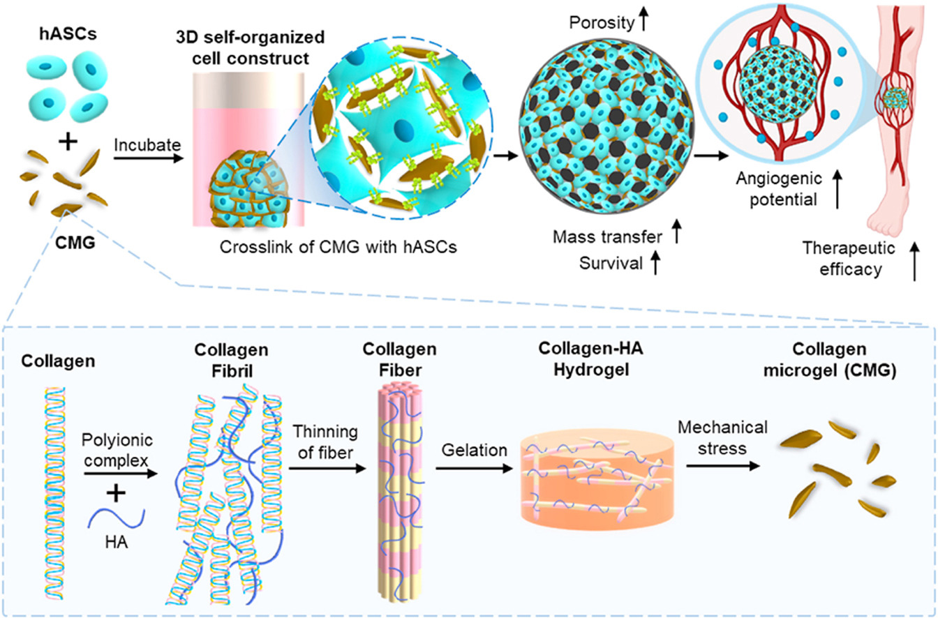 Publications - Bioimaging and Biophotonics Laboratory