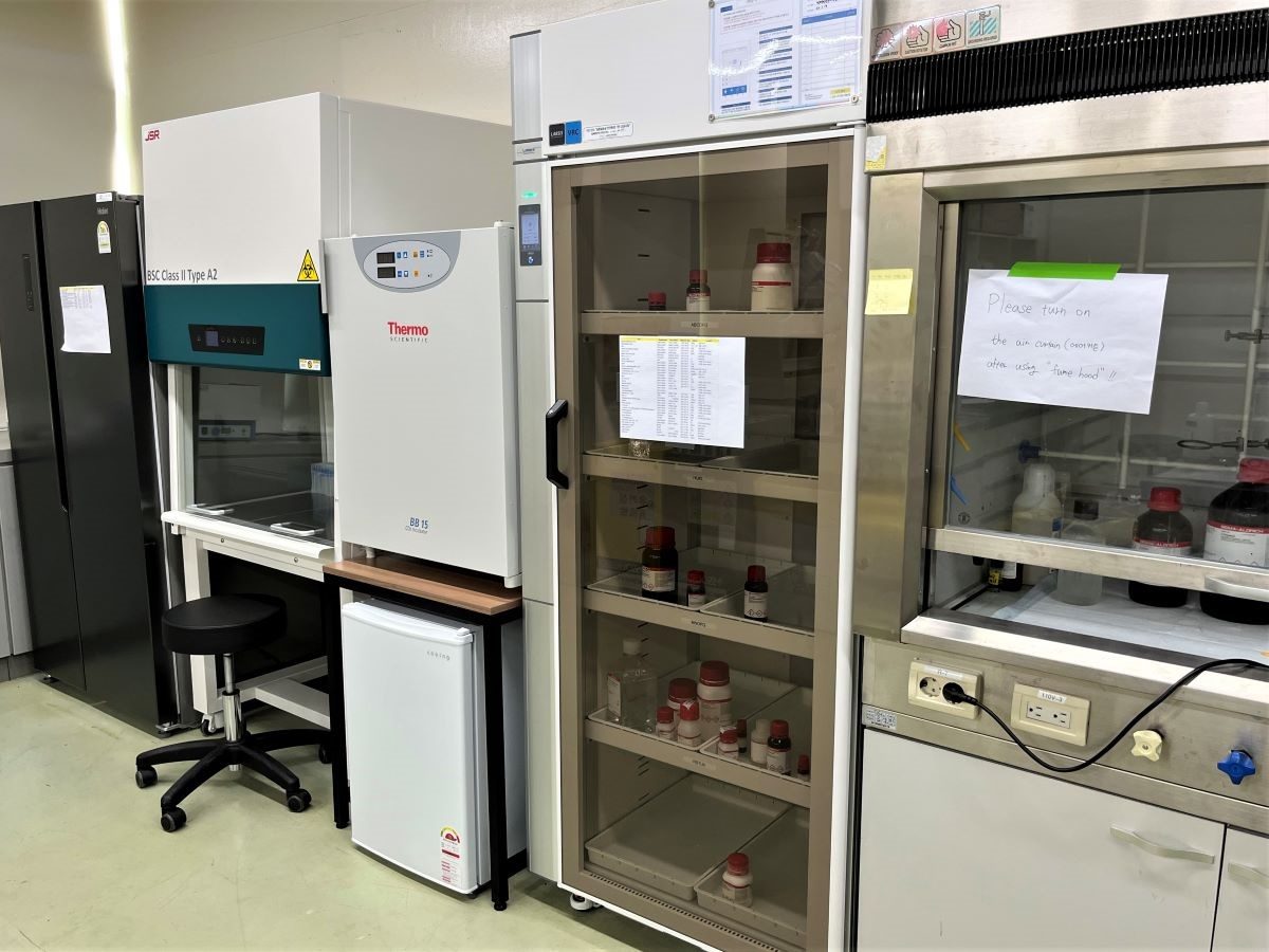 Cell Culture Setup Ready to Go – Bioimaging and Biophotonics Laboratory